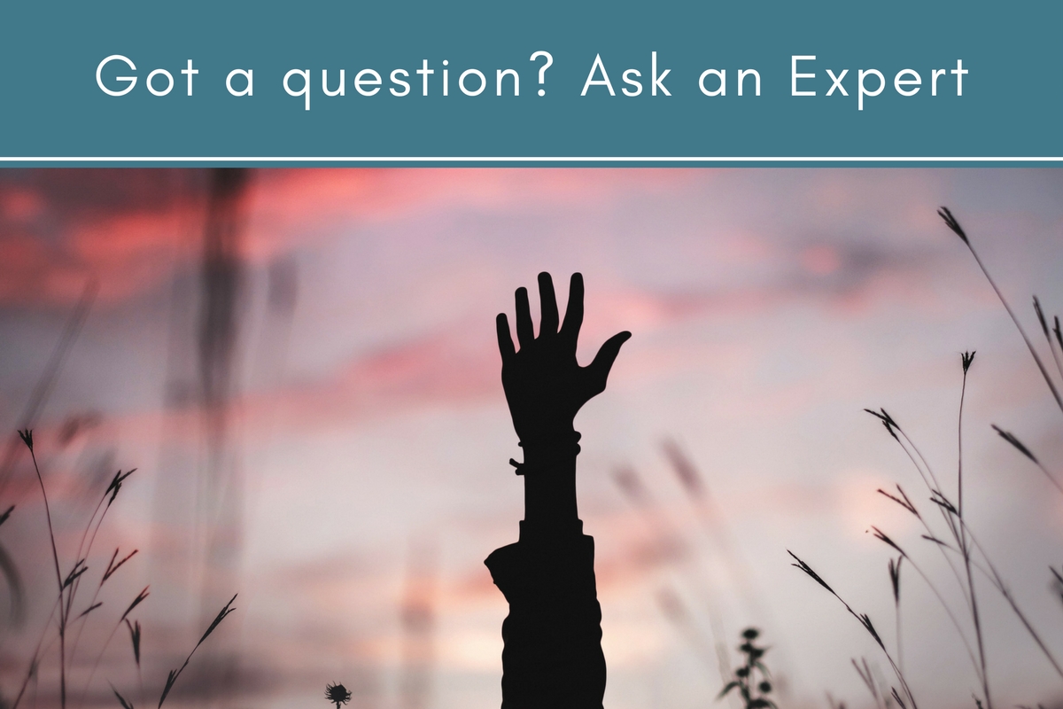 Got a question? Ask an Expert | Tubarks - The Musings of Stan Skrabut